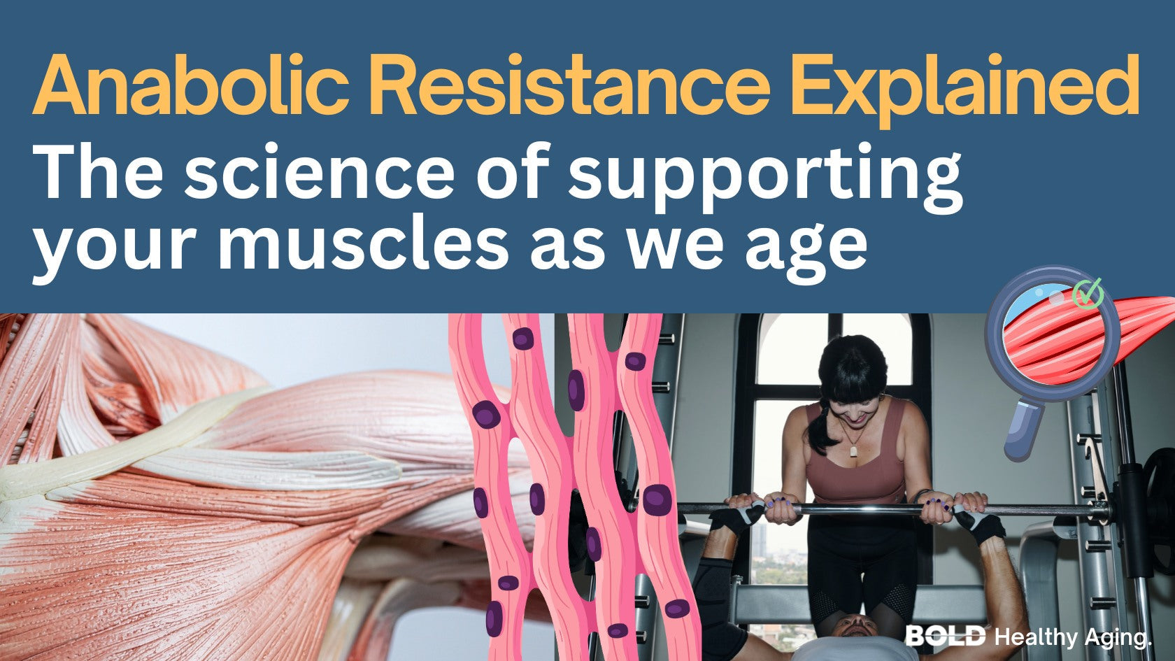Anabolic Resistance Explained: How to Support Your Body as It Changes ...