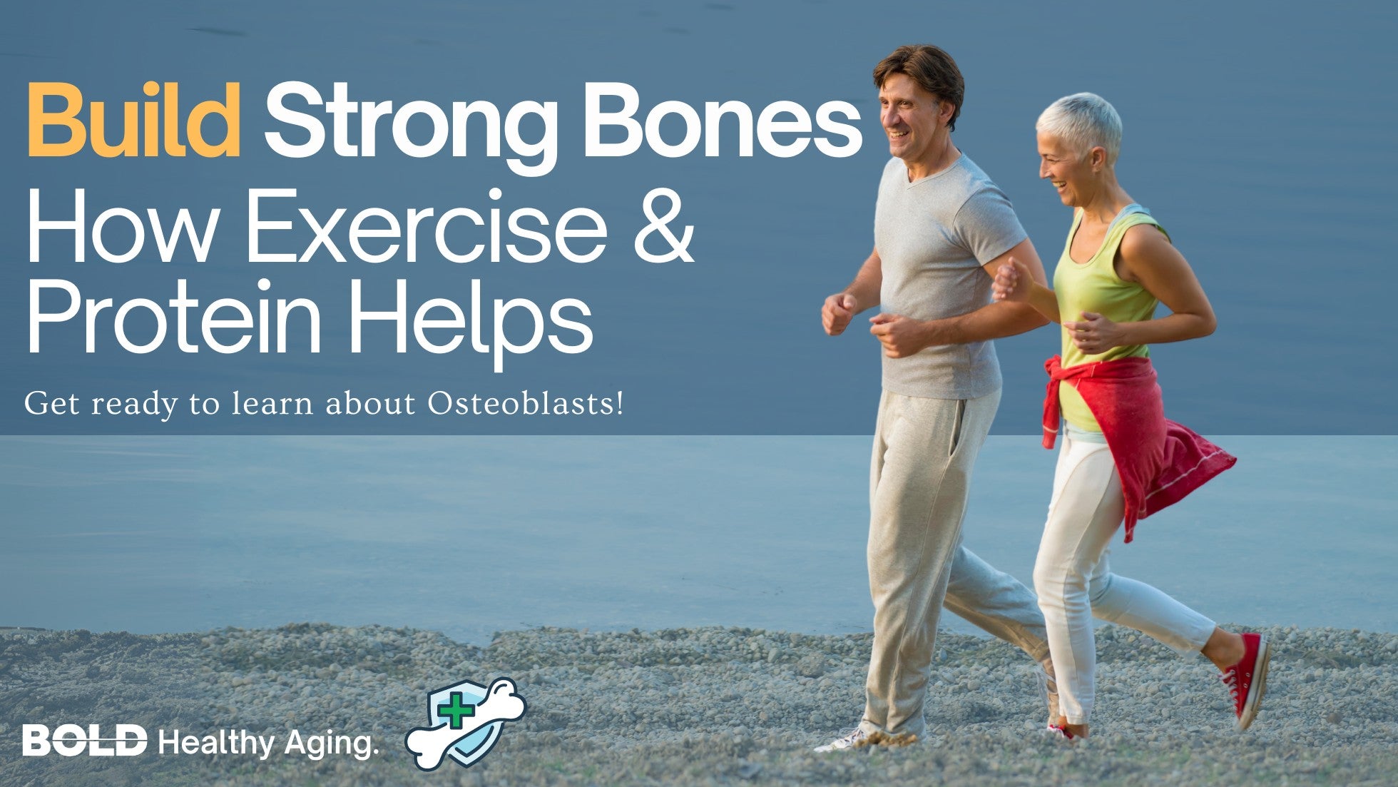 How Exercise & Protein Builds Strong Bones – BOLD