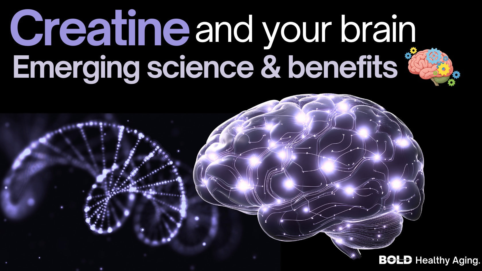 Benefits of creatine on the brain: brain fog and focus – BOLD